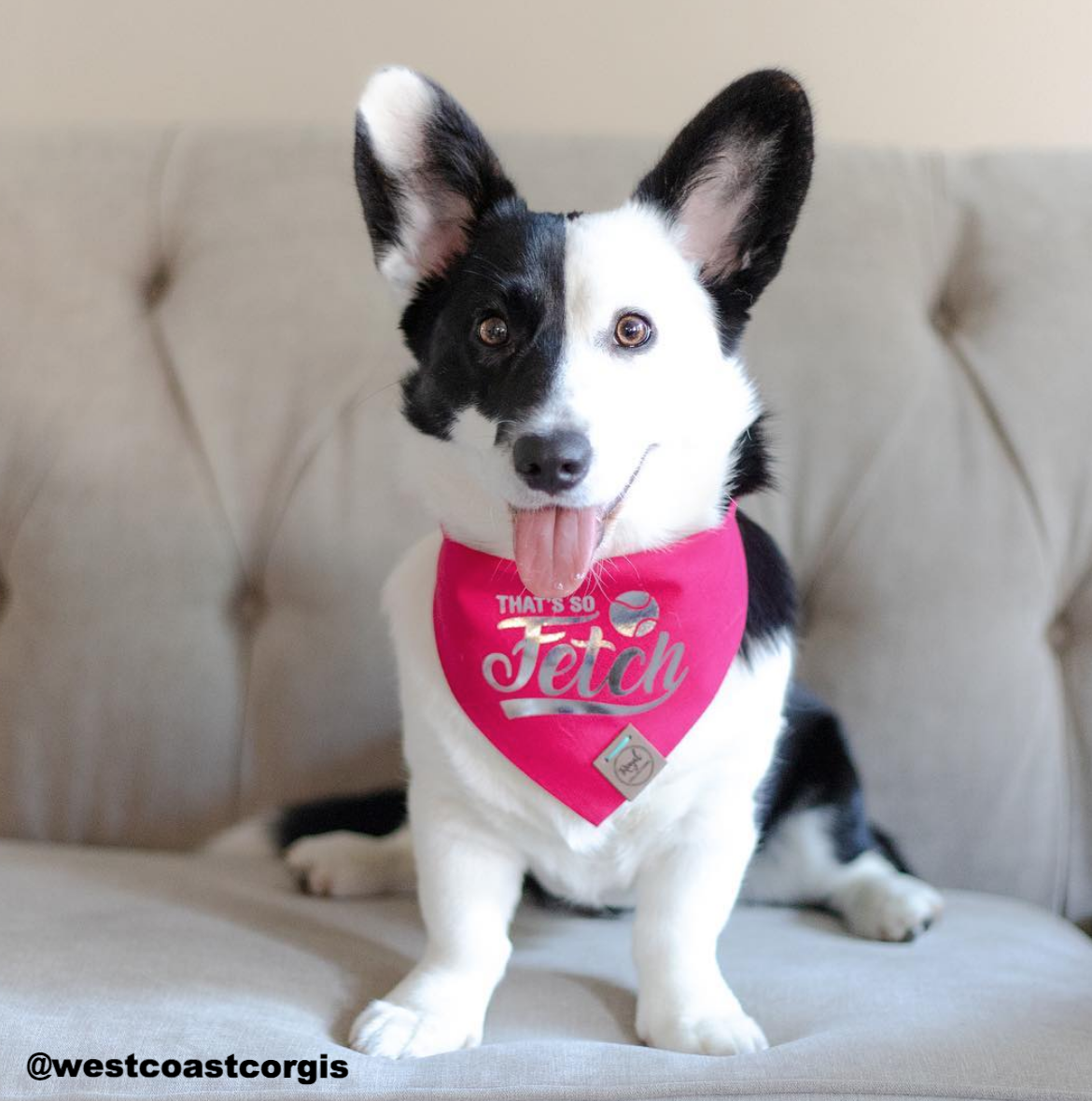 So Fetch – Royal Collections And Co.